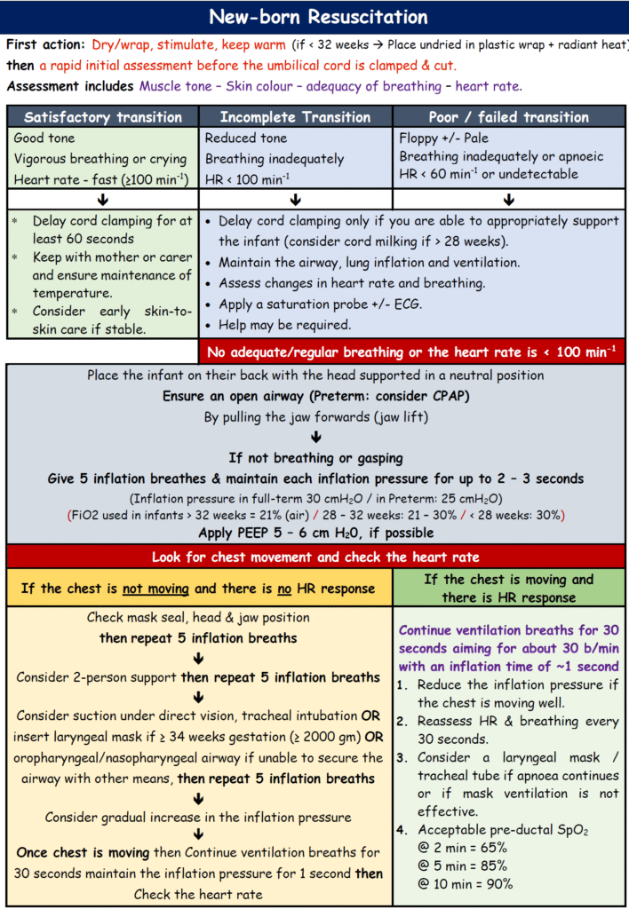 Neonatal Resuscitation
