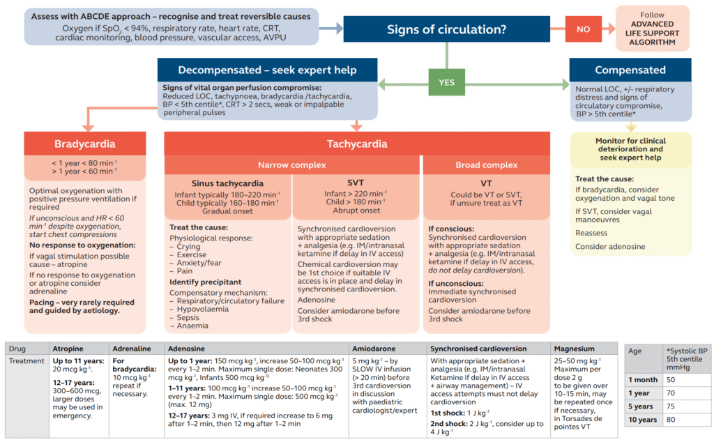 Paediatric Cardiac Arrhythmias