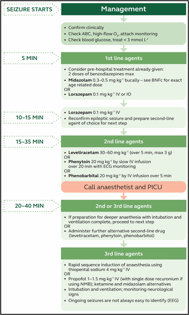 Convulsive Status Epilepticus
