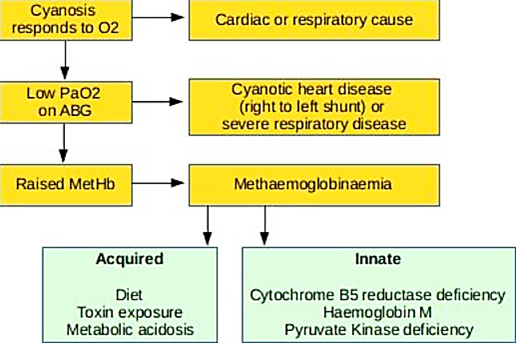 Methaemoglobinaemia