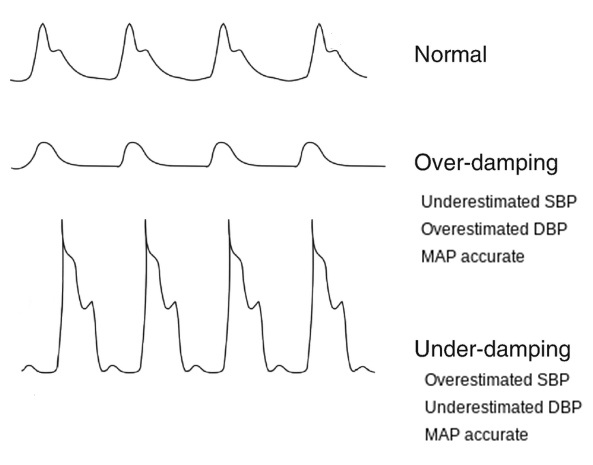 FRCEM Secrets | Structured Notes & Practice Questions for FRCEM